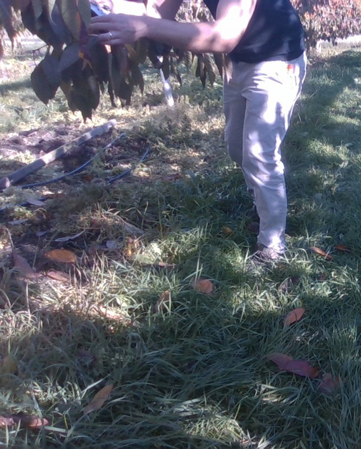 Continental Automotive Agricultural Dataset