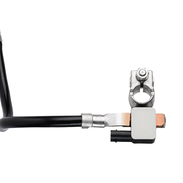 Continental Automotive | Intelligent Battery Sensor